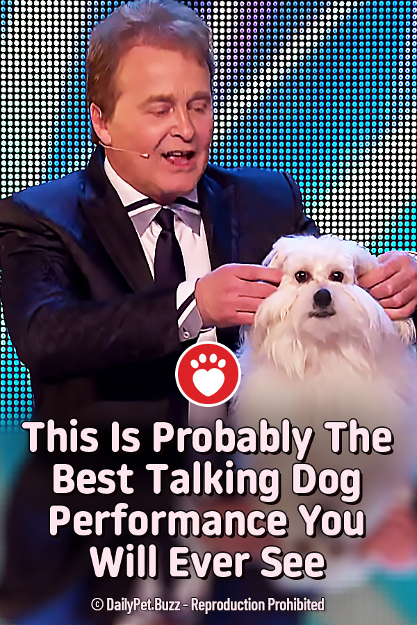 This Is Probably The Best Talking Dog Performance You Will Ever See ...