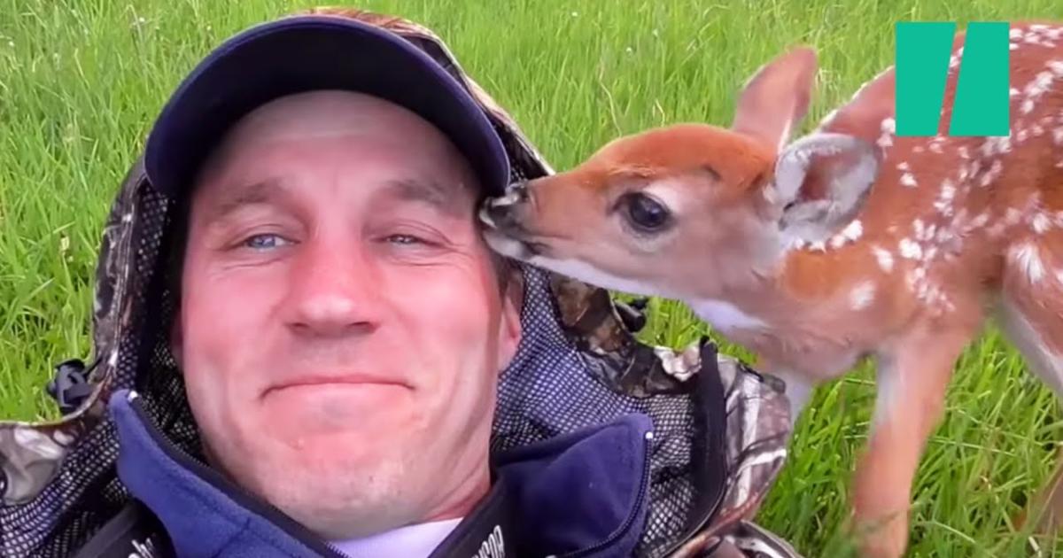 Baby Deer Abandoned By Mother. What This Man Does For Her Saves Her ...