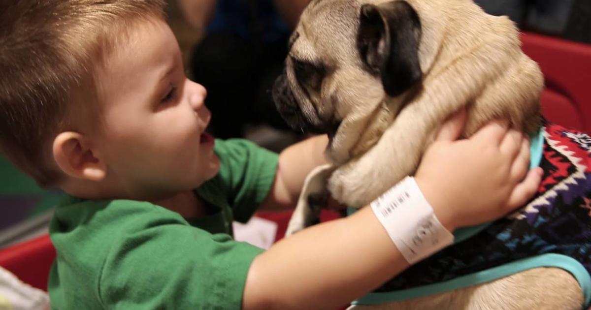 Doug The Pug Makes A Special Visit With His Human To Some Really ...