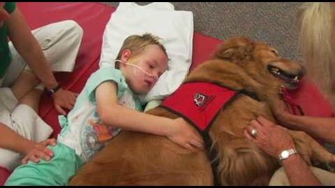 They Thought Their Boy Would Never Recover. But Watch How This Therapy ...