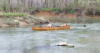 It Doesn’t Matter How These Two Dogs Got Stranded In A Canoe, What Is ...