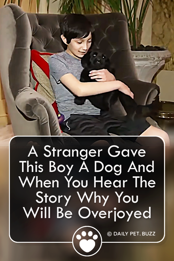A Stranger Gave This Boy A Dog And When You Hear The Story Why You Will ...