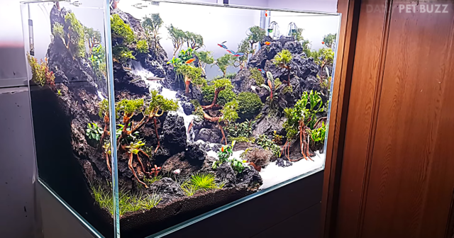 This Aquarium Has A Working Waterfall Inside, And It’s Sort Of Melting ...
