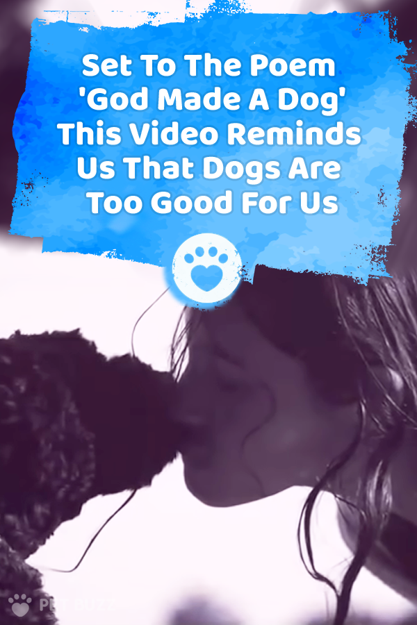 Set To The Poem ‘God Made A Dog’ This Video Reminds Us That Dogs Are ...