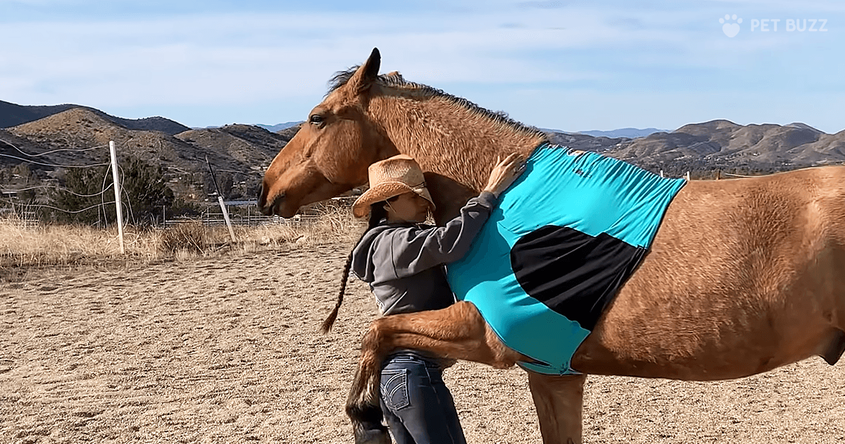 Woman And Hilarious Horse Bring Big Smiles With Latest Internet Dance ...