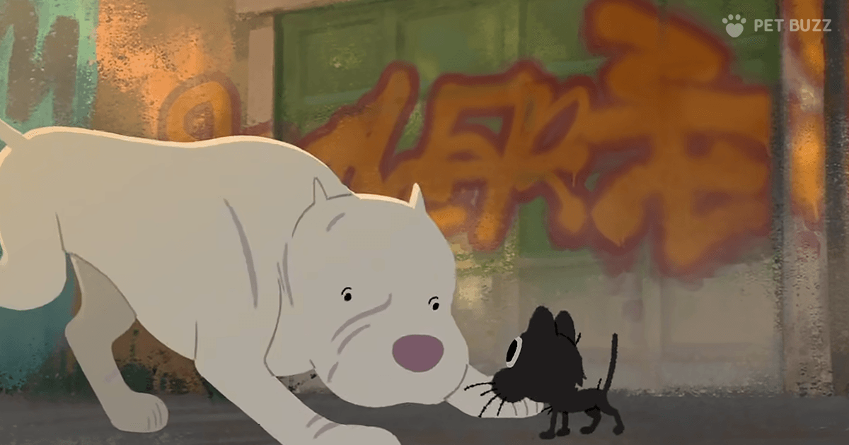 Stray Kitten Befriends Abused Pitbull In Pixar’s Short Film ‘Kitbull ...