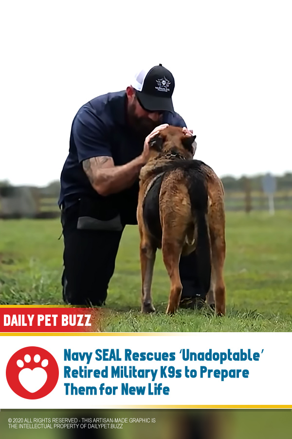 Navy SEAL Rescues ‘Unadoptable’ Retired Military K9s to Prepare Them ...