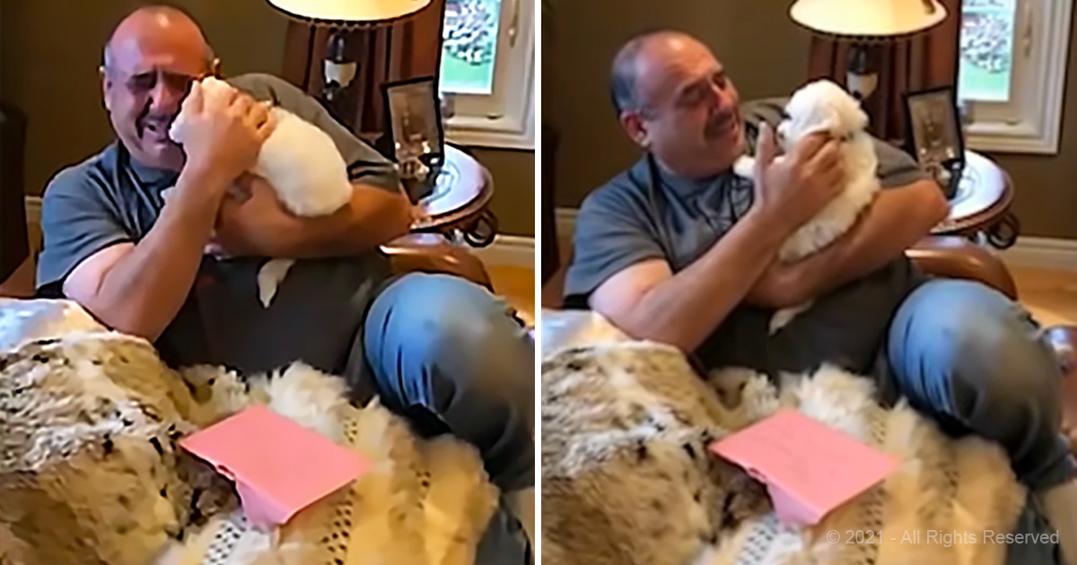 Distraught father finds solace when daughter surprising him with a ...
