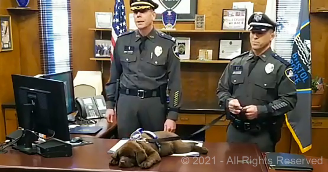 Adorable police pooch snoozes through his swearing-in – Pet Buzz