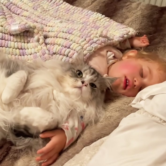 Cautious cat becomes best friends with adorable newborn baby girl – Pet ...
