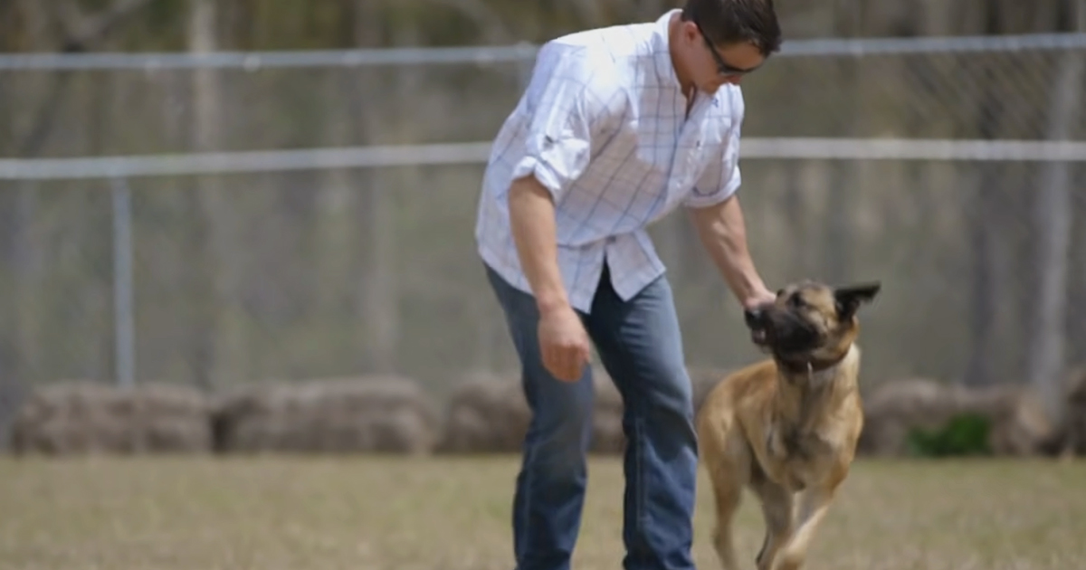 Tenacious soldier adopts military dog that saved his life – Pet Buzz