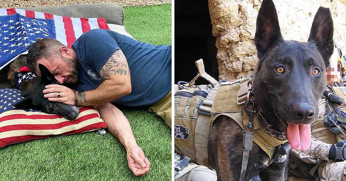 Navy SEAL gives a heartwarming farewell to his dying K9 partner - Pet Buzz