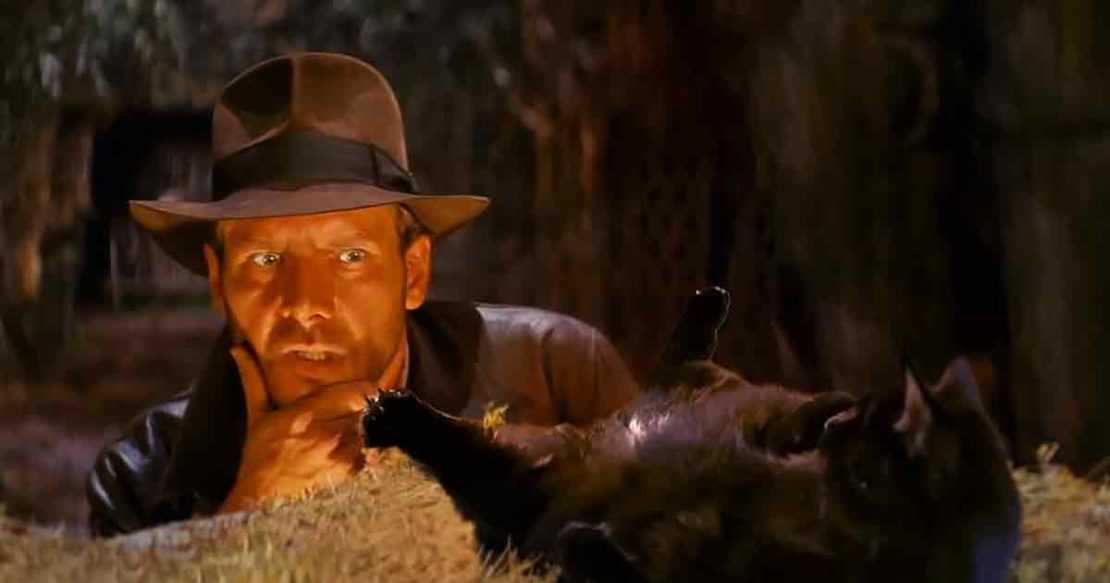 Indiana Jones reaches out and scratches the belly of an adorable cat ...
