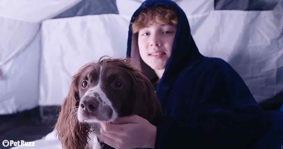 A Boy and His Dog’s Inspiring Journey to Help Homeless Dogs - Pet Buzz