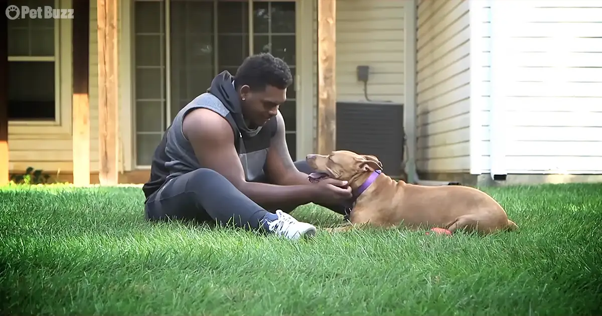 NFL star’s heartwarming choice of shelter’s most overlooked dog – Pet Buzz