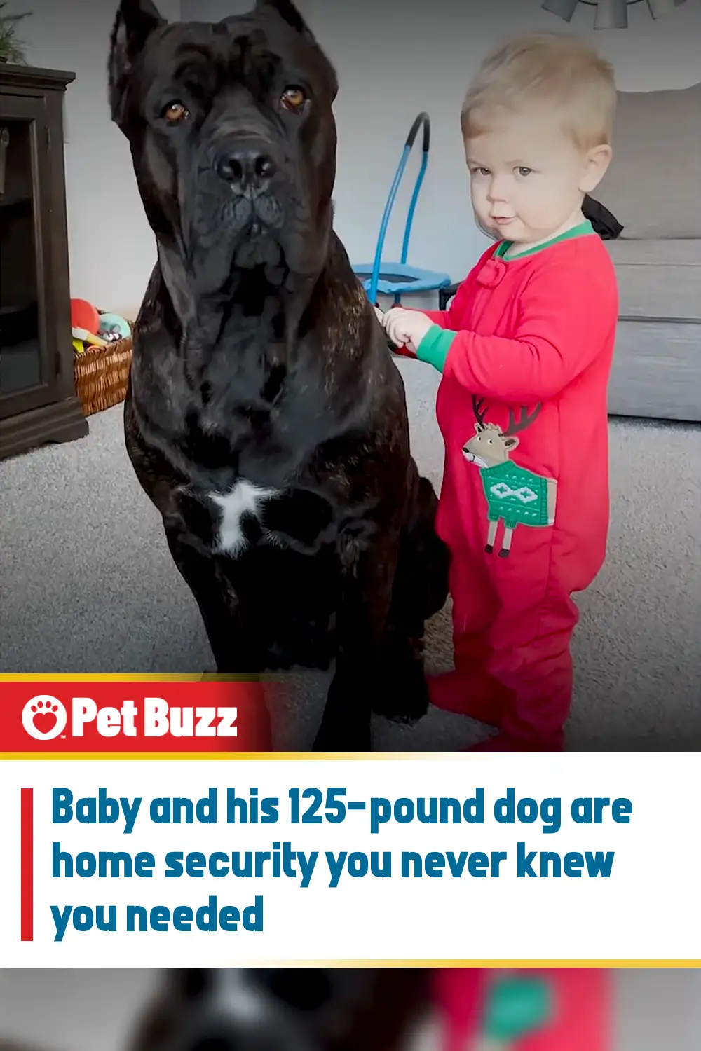 Baby and his 125-pound dog are home security you never knew you needed ...